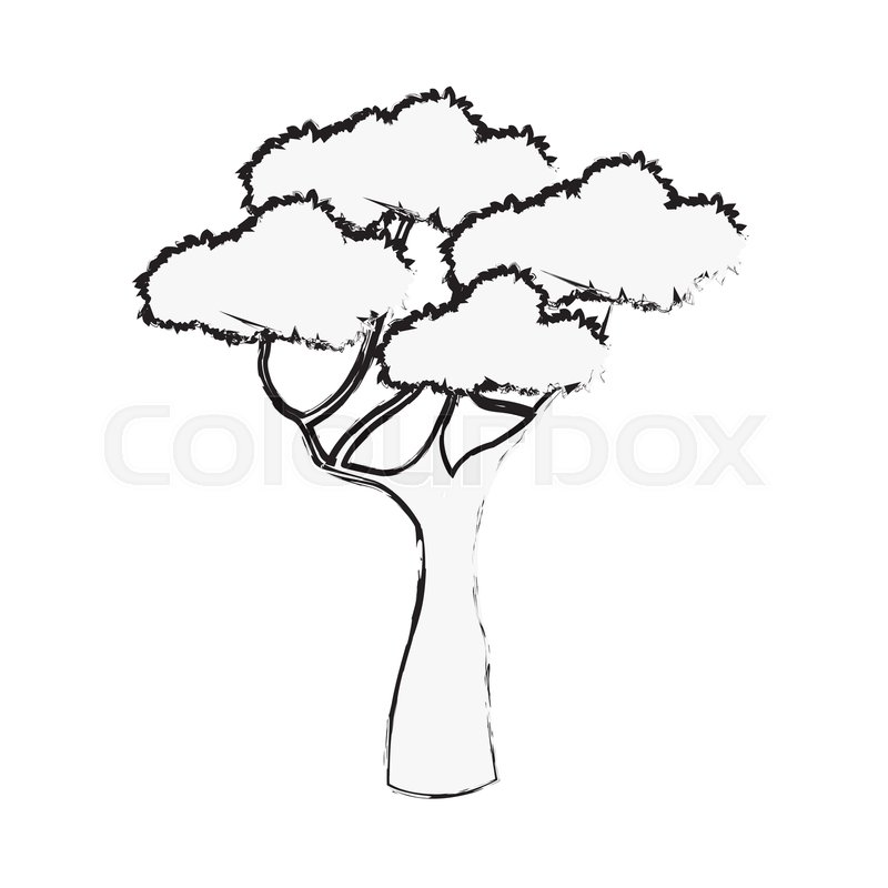 African tree foliage high forest ... | Stock vector | Colourbox
