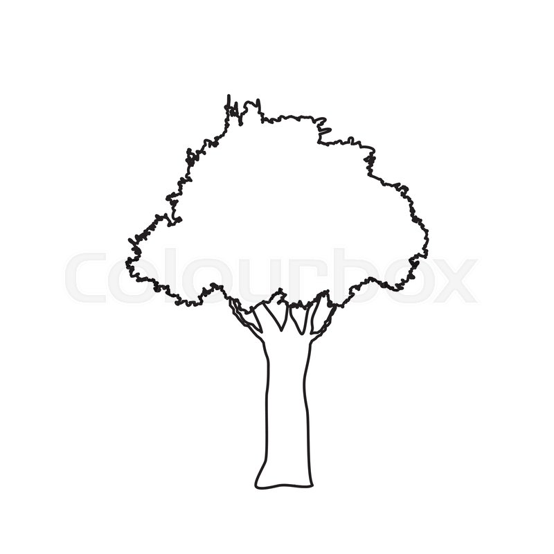 Tree forest nature branch outline ... | Stock vector | Colourbox