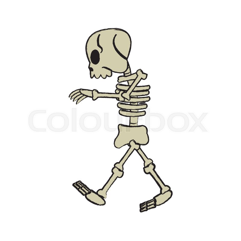 Comic skeleton human walk character ... | Stock vector | Colourbox