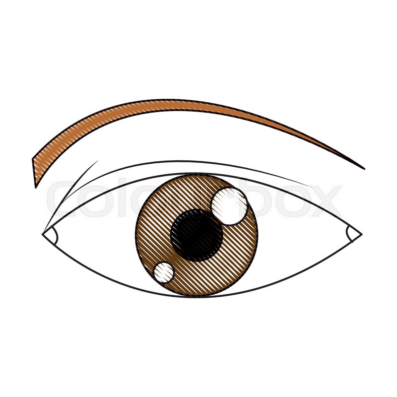 Eye look optical vision eyebrow symbol ... | Stock vector | Colourbox