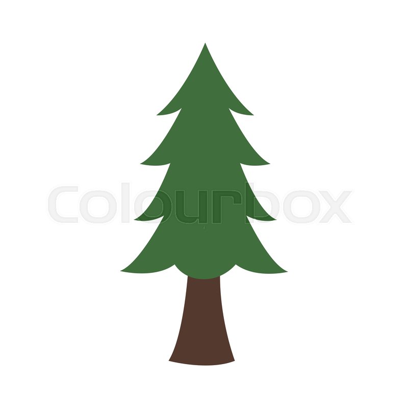 Switzerland National Tree