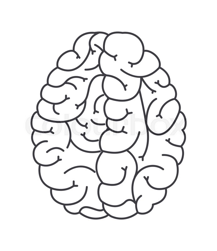Cartoon Brain Outline