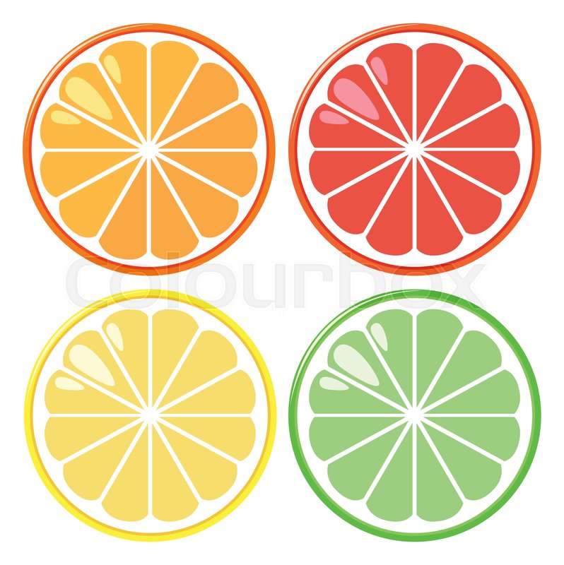 Four slices of oranges in four colors ... | Stock vector | Colourbox
