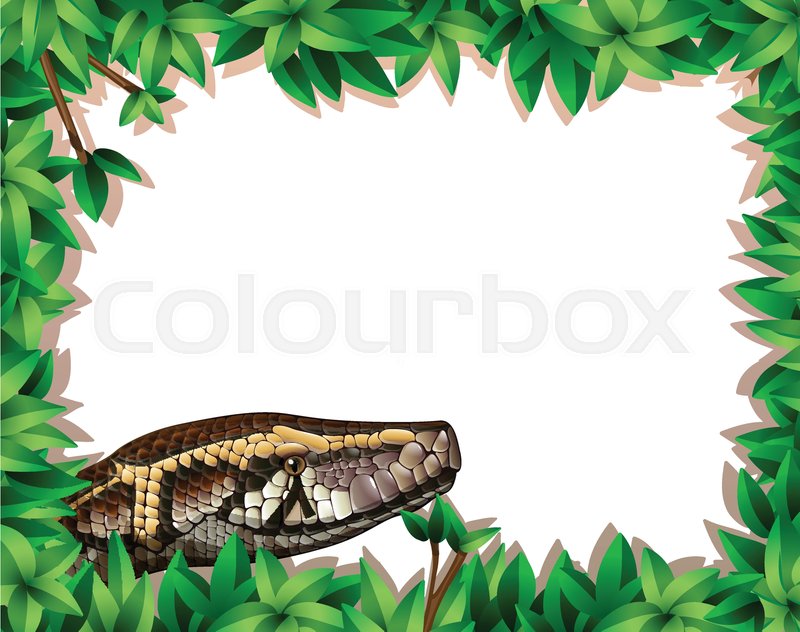 A snake in nature frame illustration | Stock vector | Colourbox