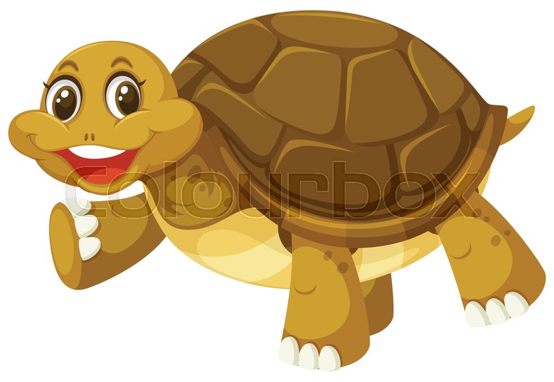 A smiley turtle on white background ... | Stock vector | Colourbox