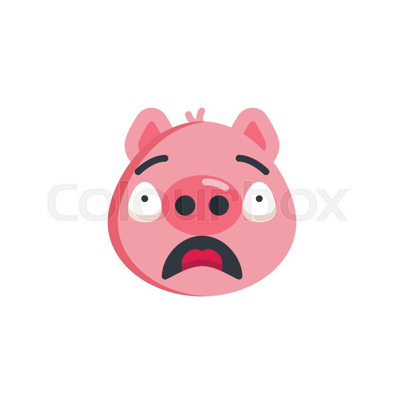 Sad Pig Face