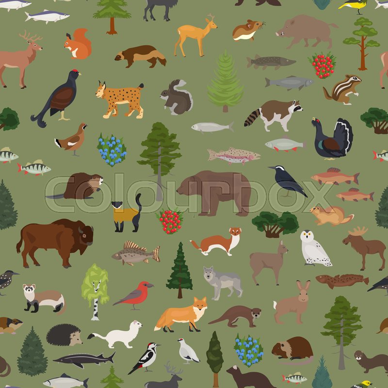 Taiga Biome Pictures Animals