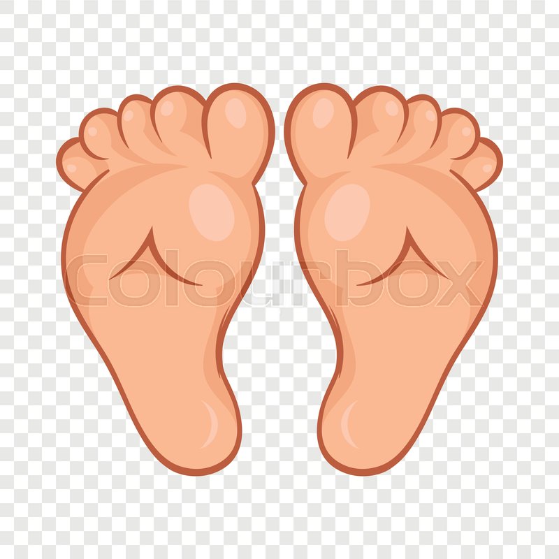 Baby legs icon in cartoon style ... | Stock vector | Colourbox