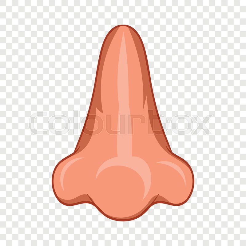 Nose icon in cartoon style isolated on ... | Stock vector | Colourbox