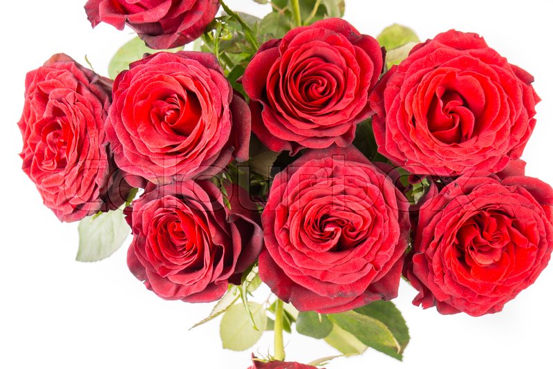 Beautiful Bunch Of Red Rose Flowers