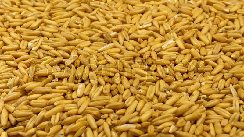 Grains of Raw Oat Groats Rotate ... | Stock video | Colourbox