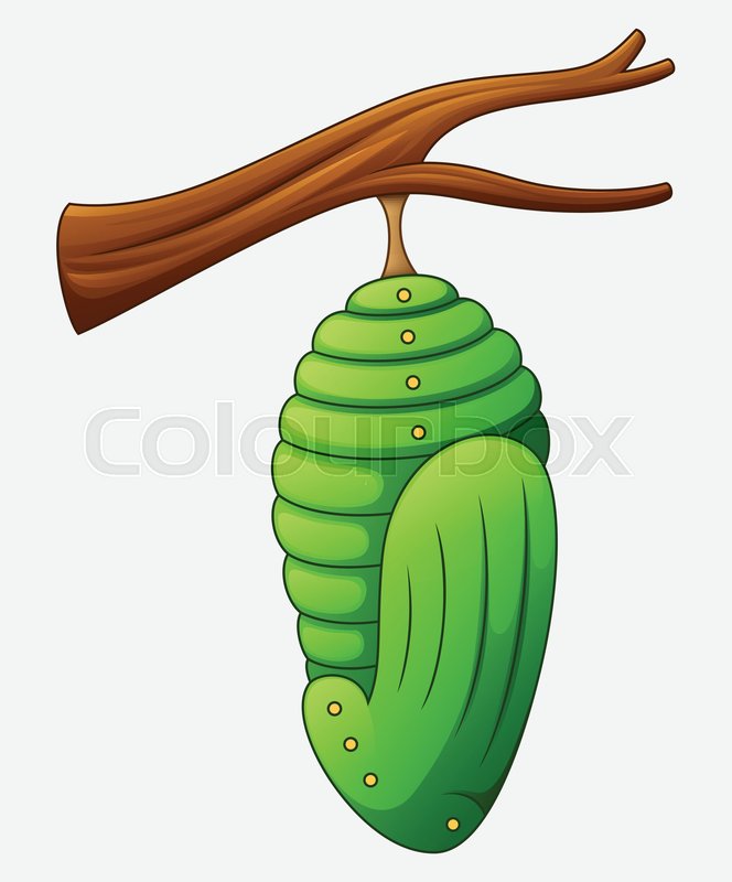 Illustration of Cartoon pupa of the ... | Stock vector | Colourbox