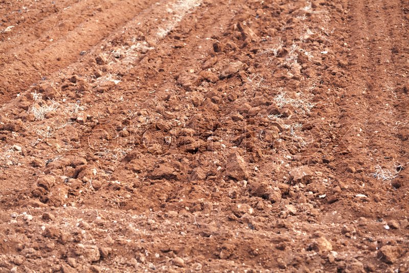 Plowed red soil of an empty field, ... | Stock image | Colourbox