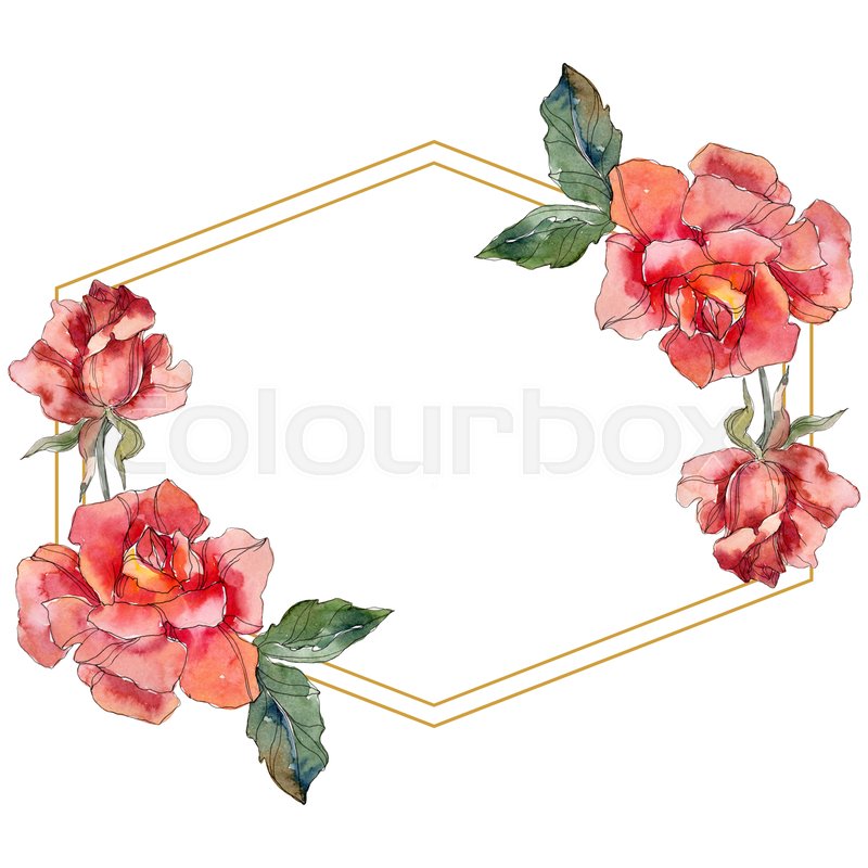Red Rose Flower Frames