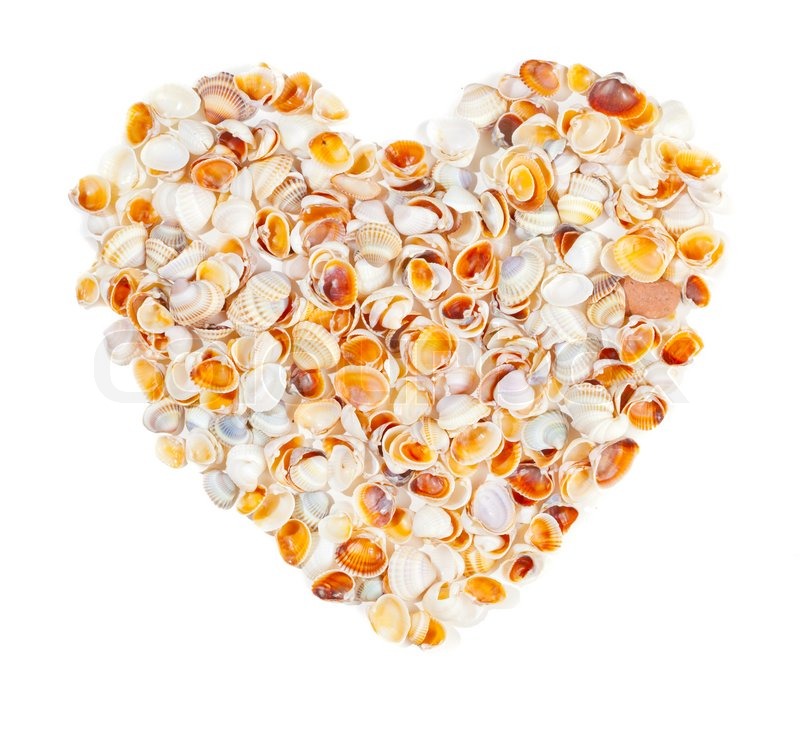 A heart made of sea shells isolated | Stock image | Colourbox
