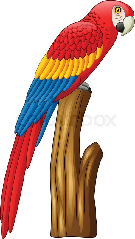 Vector illustration of macaw on a ... | Stock vector | Colourbox