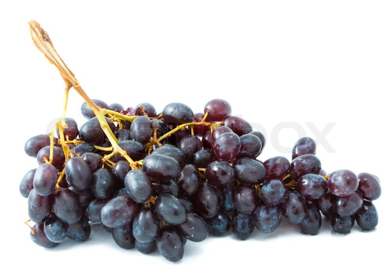 Black grape | Stock image | Colourbox