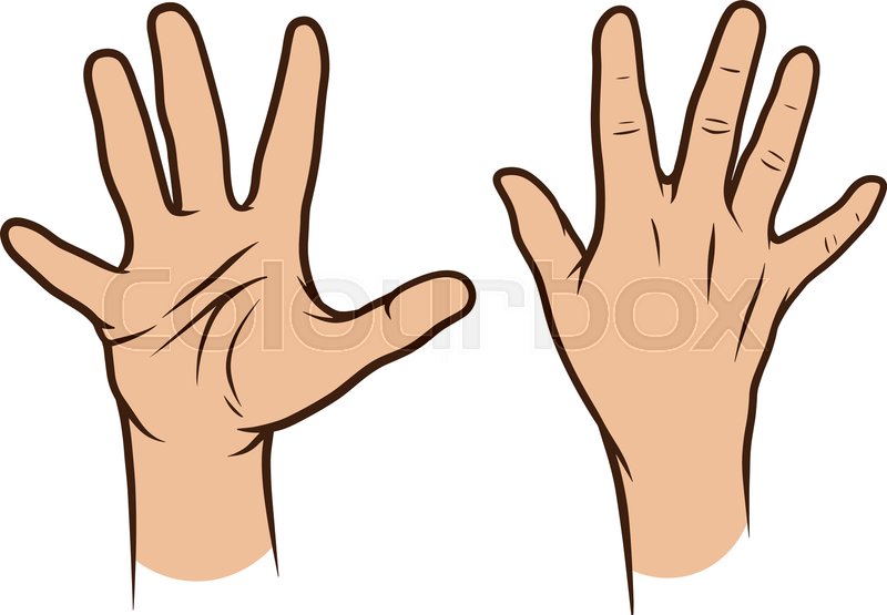 Cartoon graphic white human hands. ... | Stock vector | Colourbox