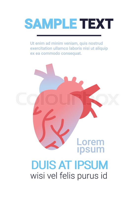 Human Heart Template