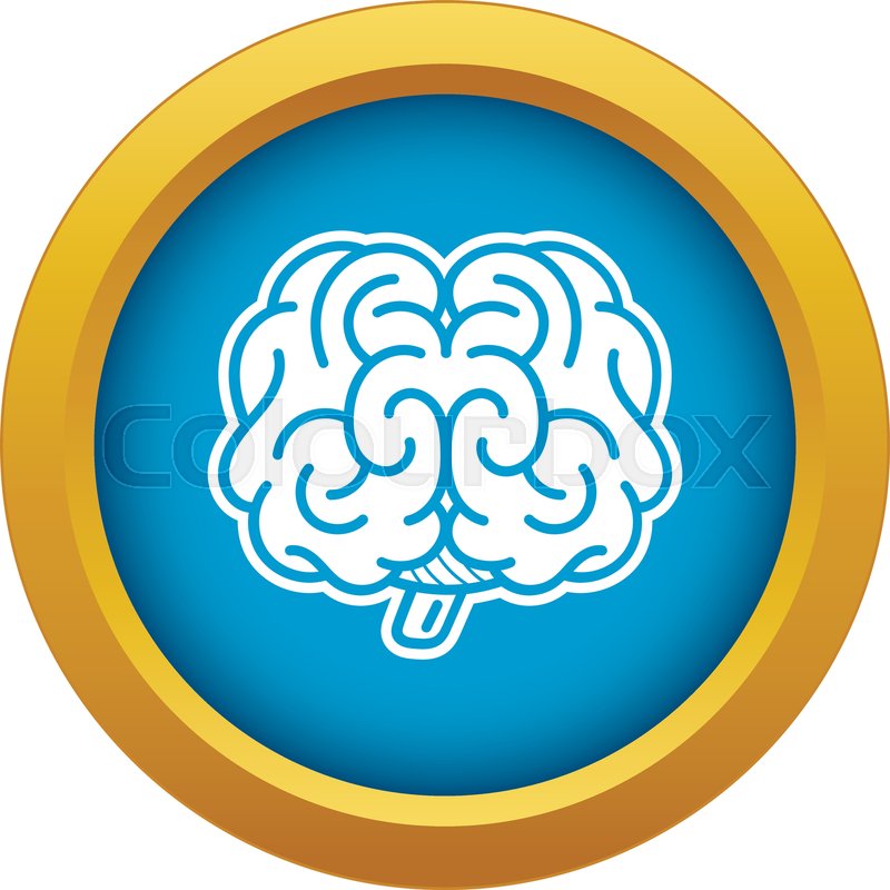 Front Brain Icon Blue Vector Isolated Stock Vector Colourbox