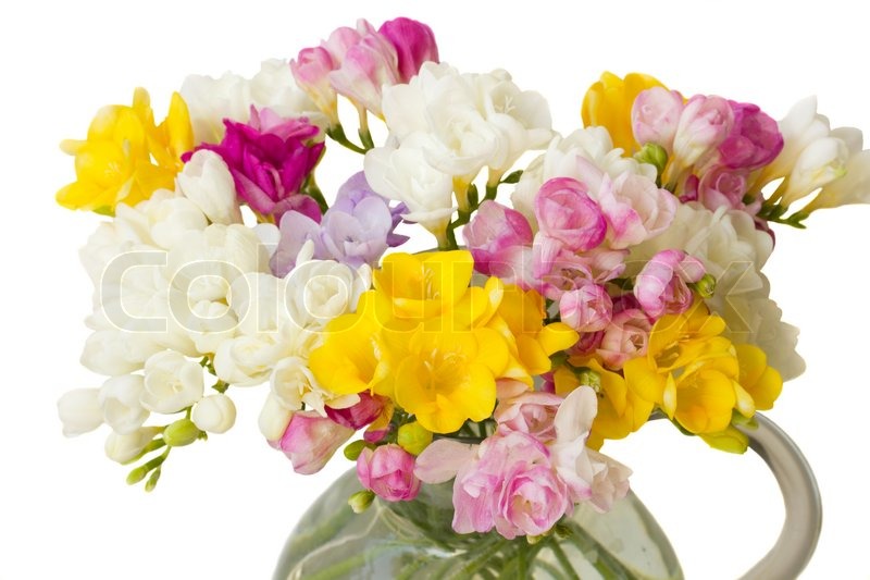 Freesias bouquet | Stock image | Colourbox