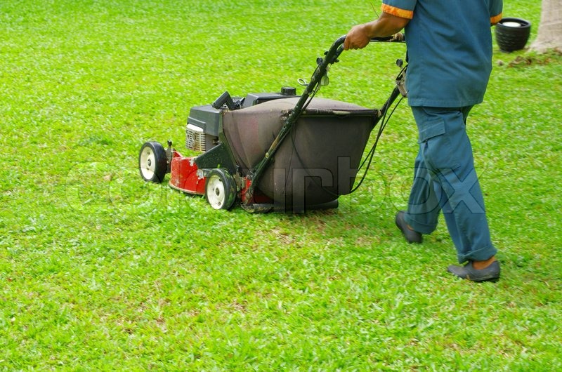 Mowing the lawn | Stock image | Colourbox