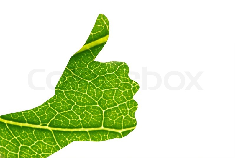 Green hand | Stock image | Colourbox