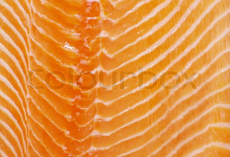 Laks | Stock foto | Colourbox