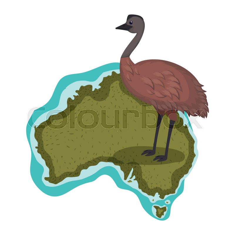 Wild emu bird over australian map ... | Stock vector | Colourbox