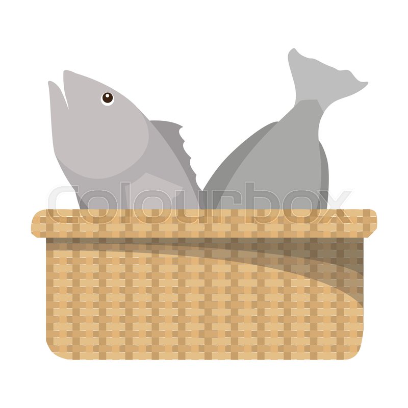 Basket with fish icon vector ... | Stock vector | Colourbox