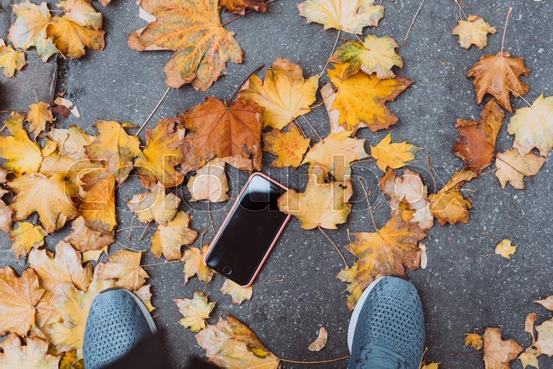 The smartphone lying on the ground in ... | Stock image | Colourbox