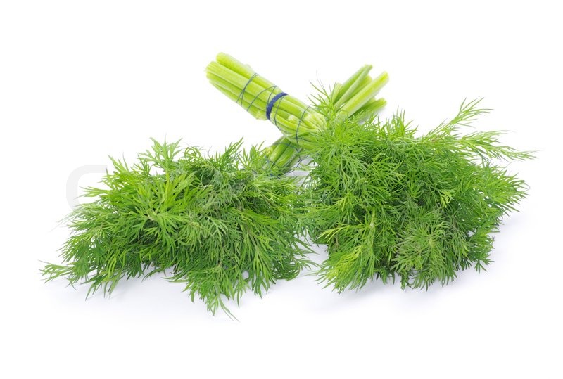 Dill | Stock image | Colourbox