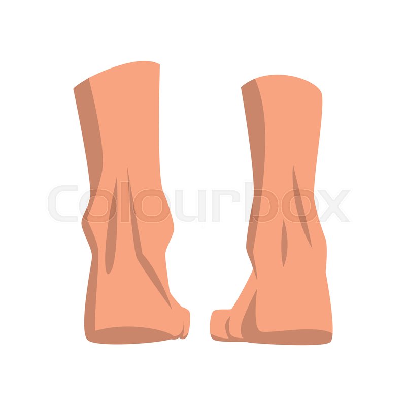Human feet standing, back view vector ... | Stock vector | Colourbox