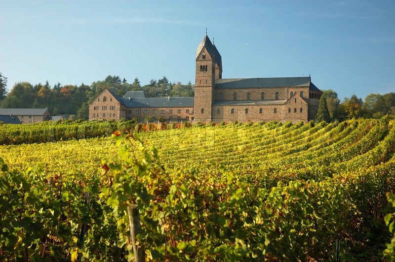 Monastery with a Vineyard, Germany | Stock image | Colourbox