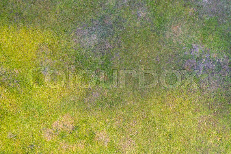 Aerial top view of Natural grass ... | Stock image | Colourbox