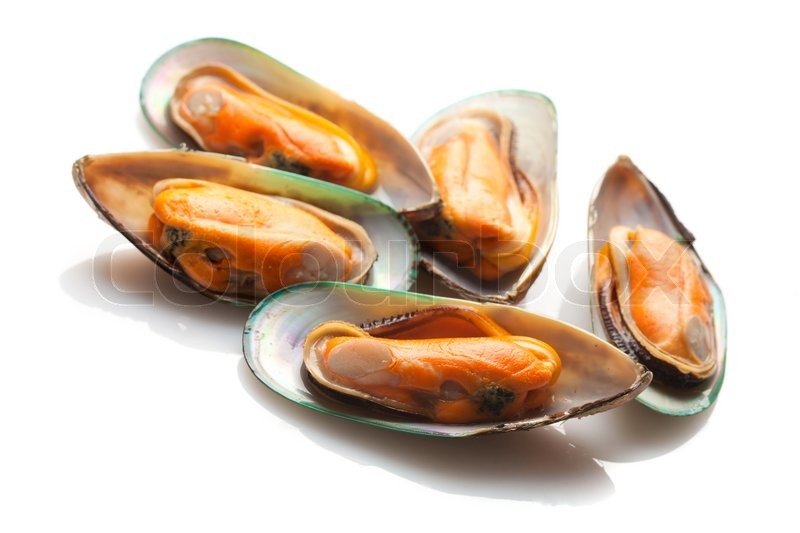 Green mussels on white background | Stock image | Colourbox