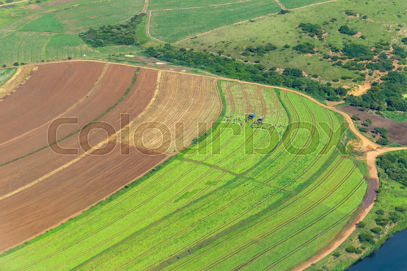 Flying birds-eye view farmlands crops ... | Stock image | Colourbox