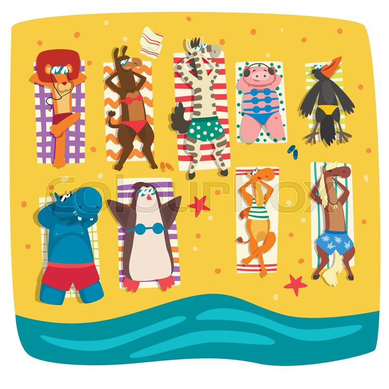 Wild animals sunbathing on the beach, ... | Stock vector | Colourbox