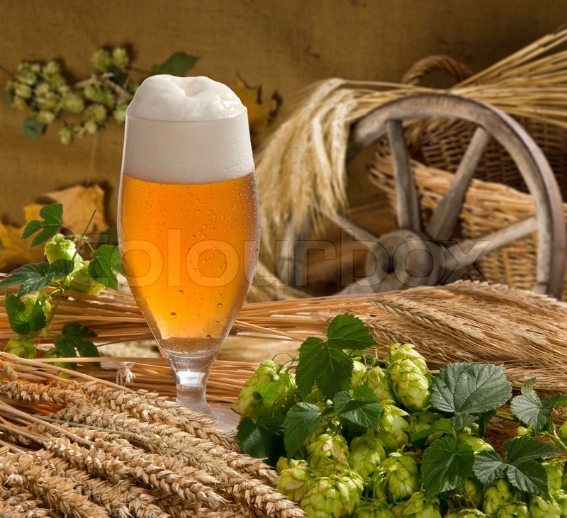 "Bier" | Stock Bild | Colourbox