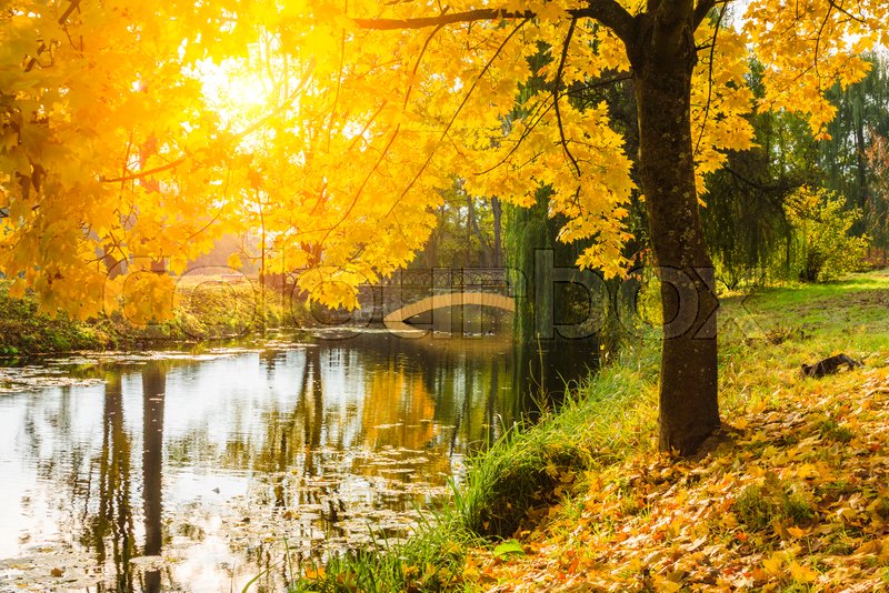 Beautiful autumn landscape with river, ... | Stock image | Colourbox