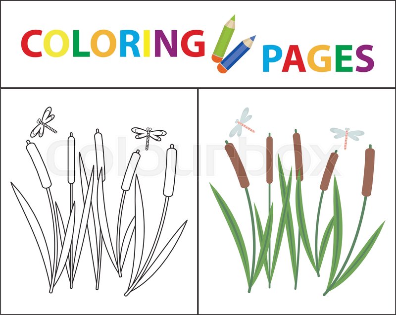 Coloring book page for kids. Reeds and ... | Stock vector | Colourbox