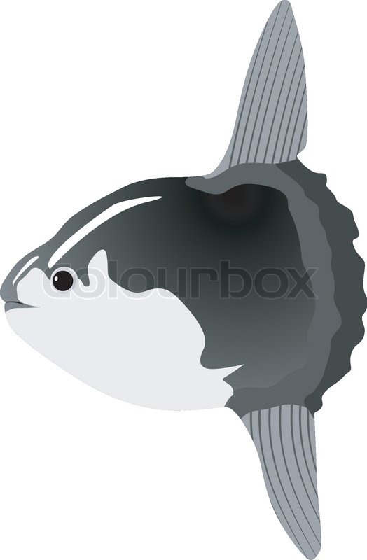 Sunfish | Stock vector | Colourbox