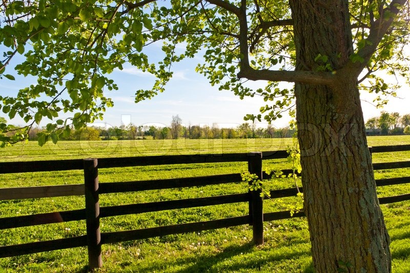 Country Scenery. Green pastures of ... | Stock image | Colourbox