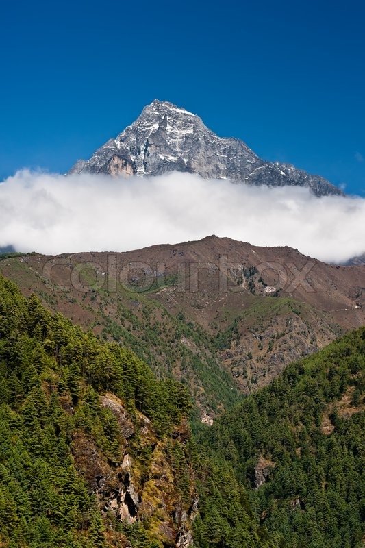 Himalaya Landscape: mountain and forest | Stock image | Colourbox