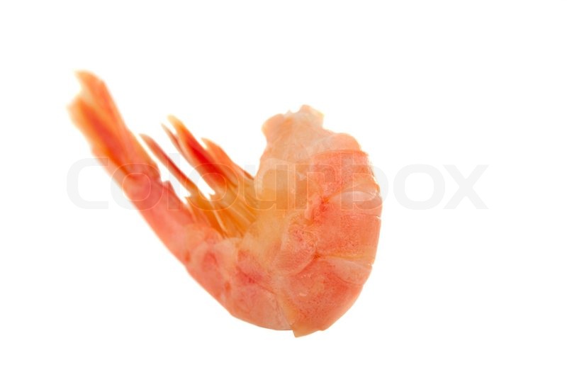 Tail shrimp isolated | Stock image | Colourbox