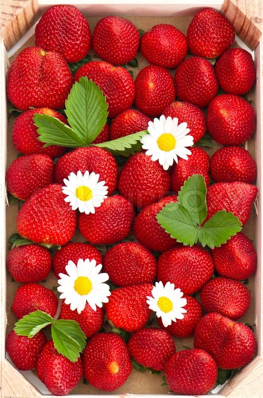 Fresh strawberries with daisy flowers ... | Stock image | Colourbox