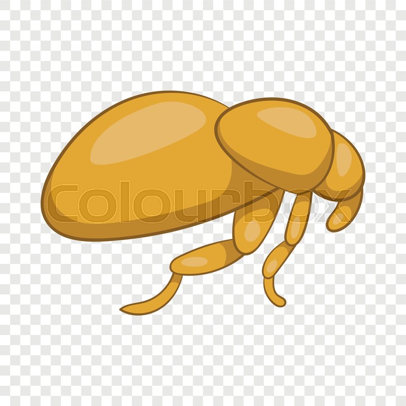 Flea icon. Cartoon illustration of ... | Stock vector | Colourbox