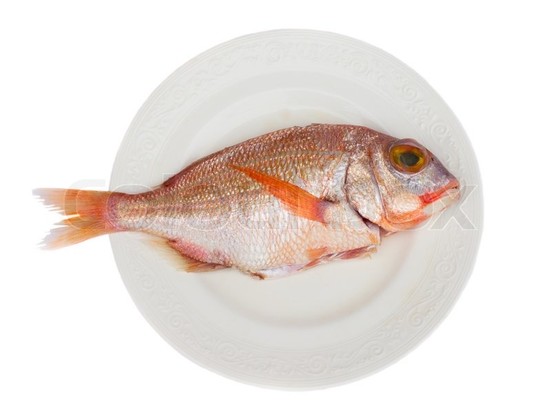 Sama fish | Stock image | Colourbox