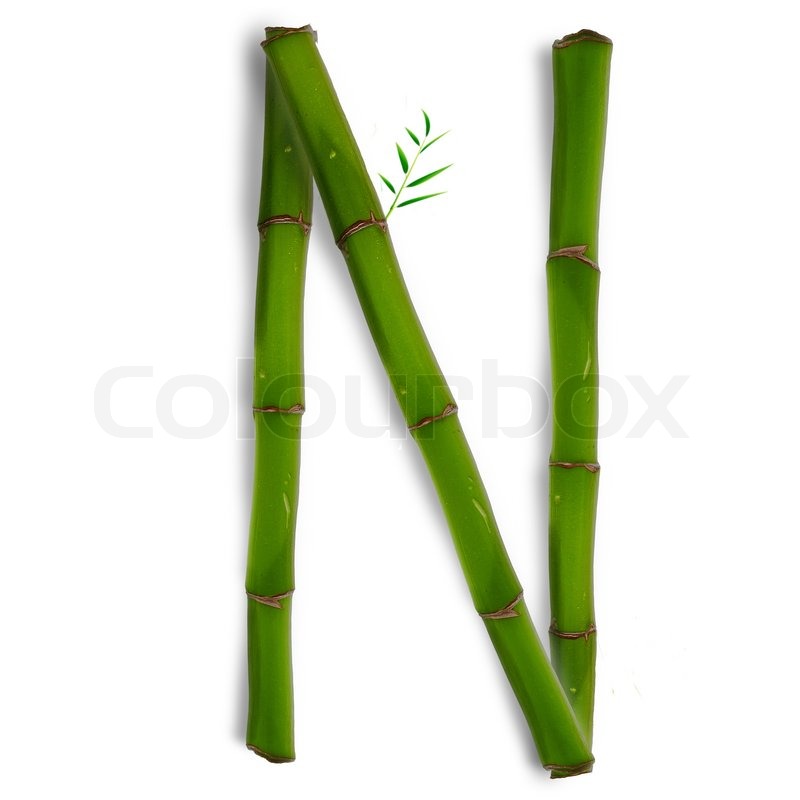 One capital letter of bamboo alphabet ... | Stock image | Colourbox