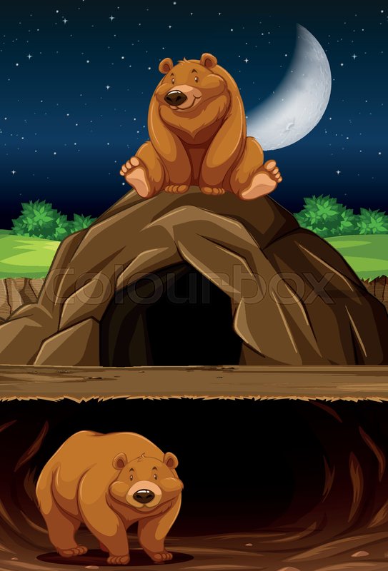 Sleeping Bear In Cave
